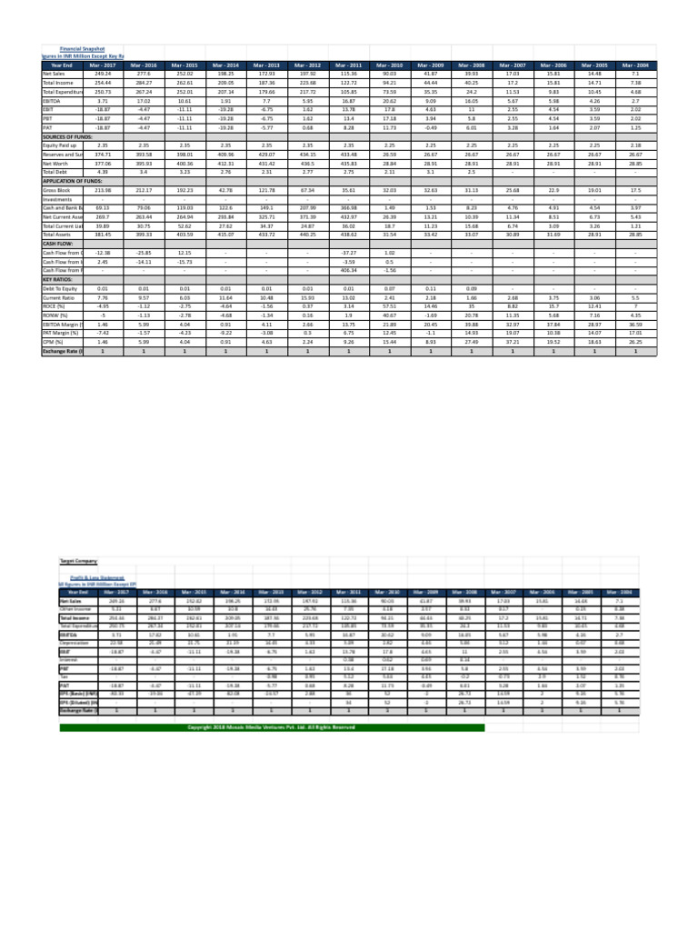 Snapshot_merged | PDF | Balance Sheet | Equity (Finance)