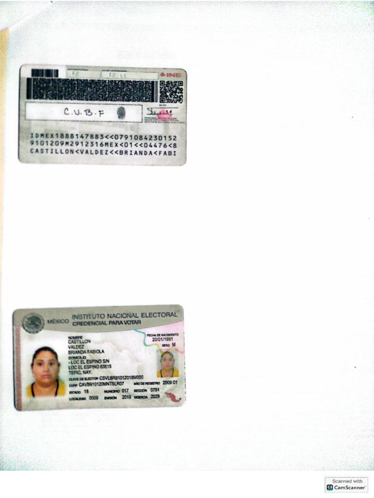 Castillon Valdez Brianda Fabiola | PDF