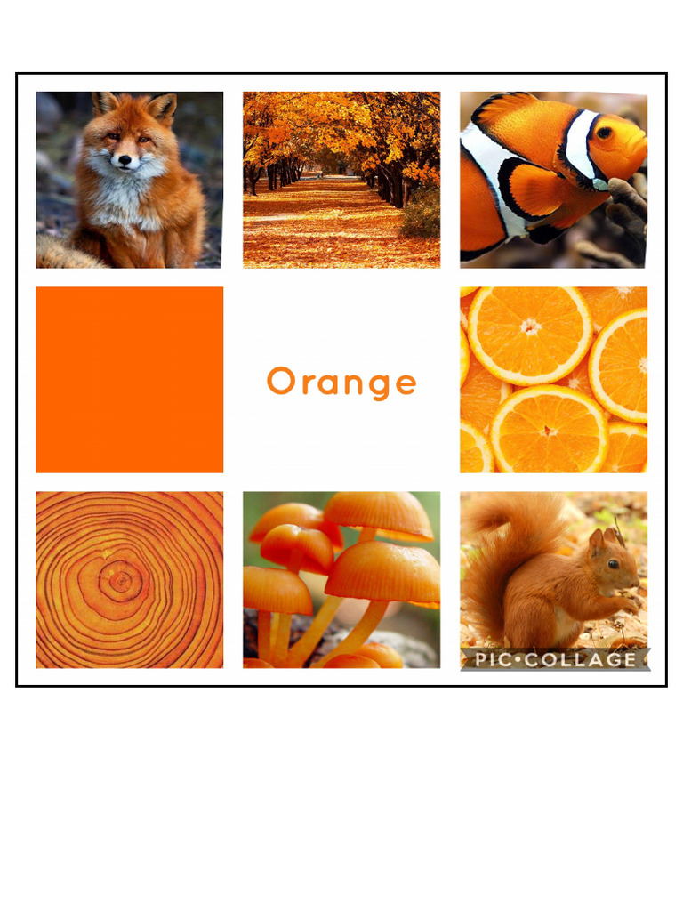 Colours in Nature | PDF