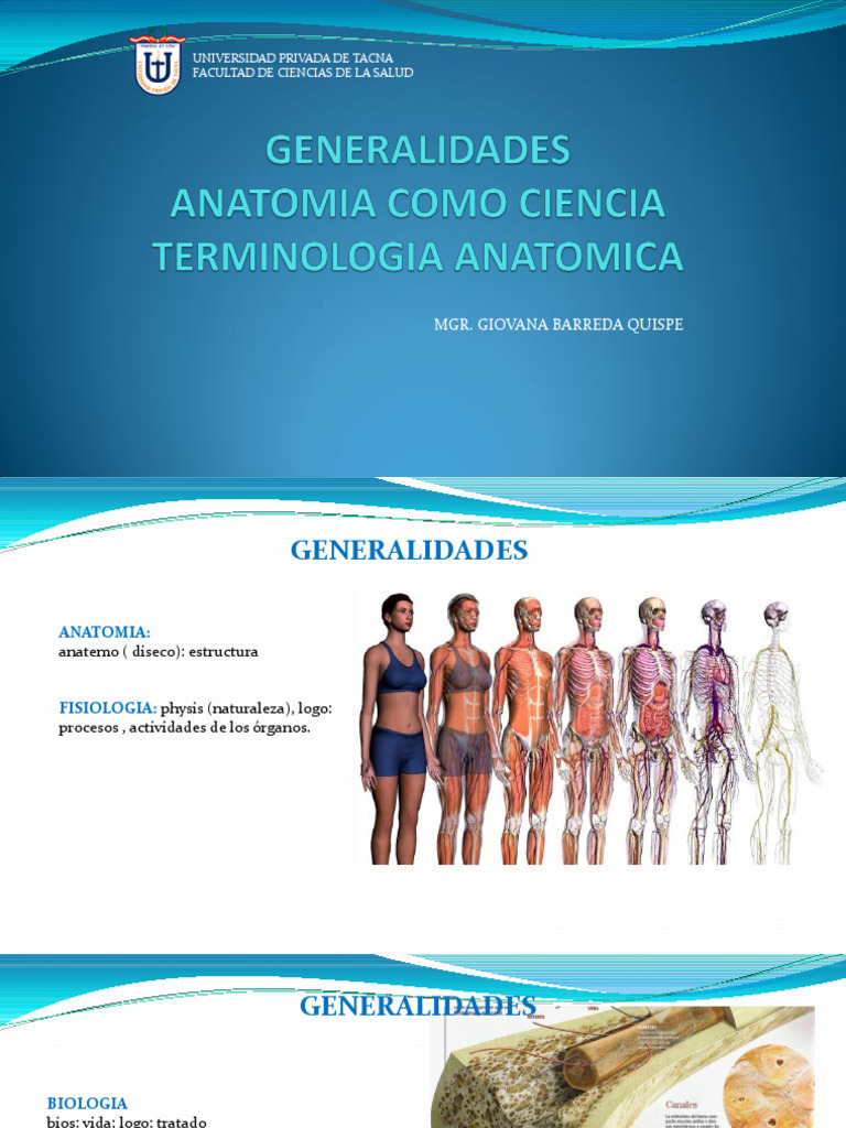Generalidades Anatomia Como Ciencia - Osteologia | PDF | Hueso | Articulación