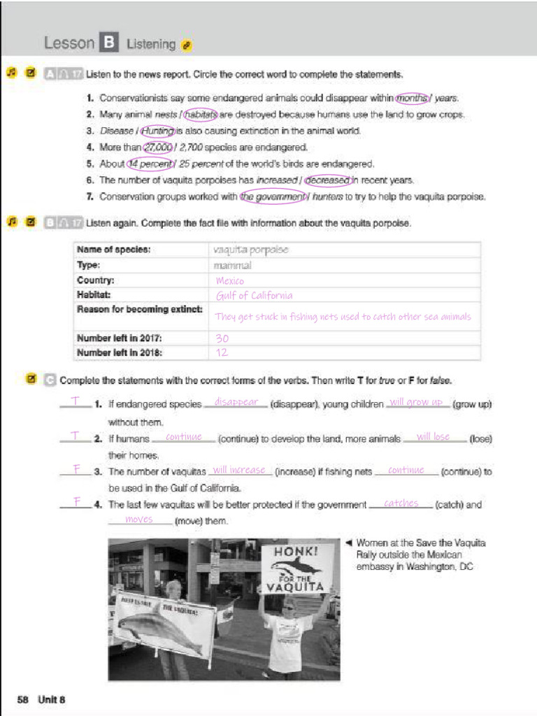 World English Level2 Ed3 Workbook Lessonb Unit8 | PDF