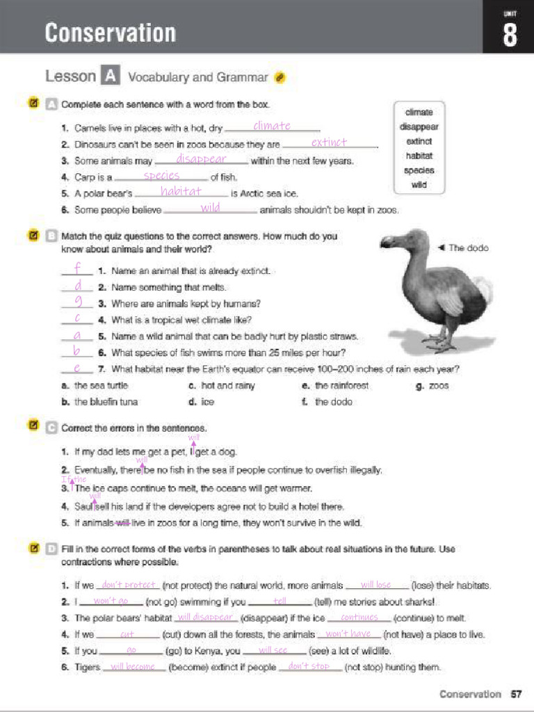 World English Level2 Ed3 Workbook Lessona Unit8 | PDF