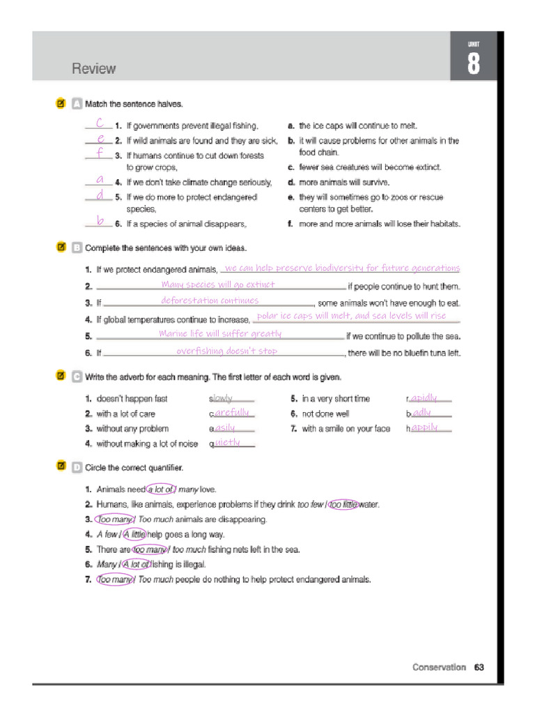 World English Level2 Ed3 Review Unit8 | PDF