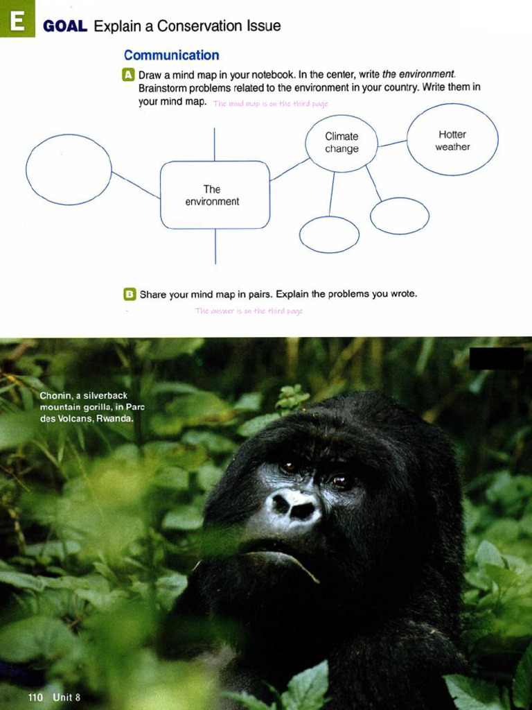 World English Level2 Ed3 Lessone Unit8 | PDF | Deforestation | Agriculture