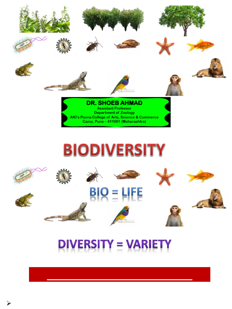 Unit. 4.biodiversity EVS Lecture | PDF | Conservation Biology | Biodiversity