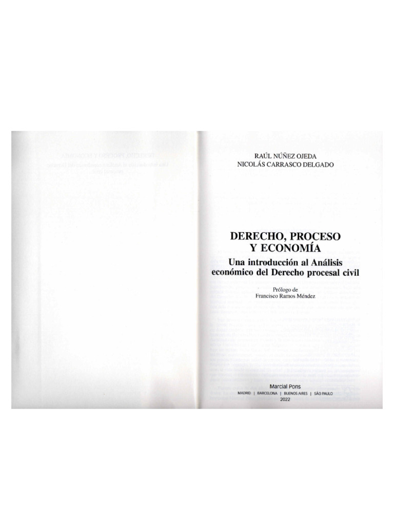 Abrir Derecho, Proceso y Economía, Raúl Núñez Ojeda | PDF
