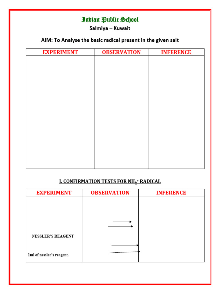 Basic Radical Analysis 2024-25 | PDF | Salt (Chemistry) | Nitric Acid