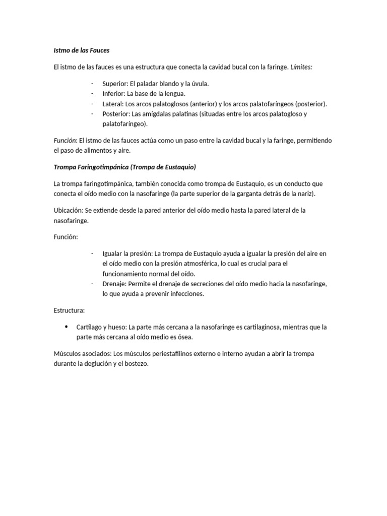 Istmo de Las Fauces y Trompafaringotimpanica | PDF