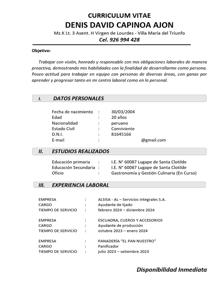 Curriculum Vitae - Denis David Capinoa Ajon | PDF
