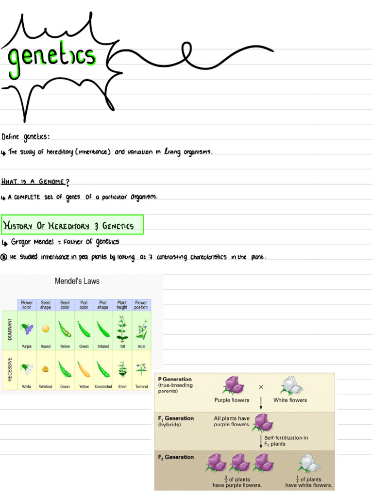 Genetics | PDF | Dominance (Genetics) | Zygosity
