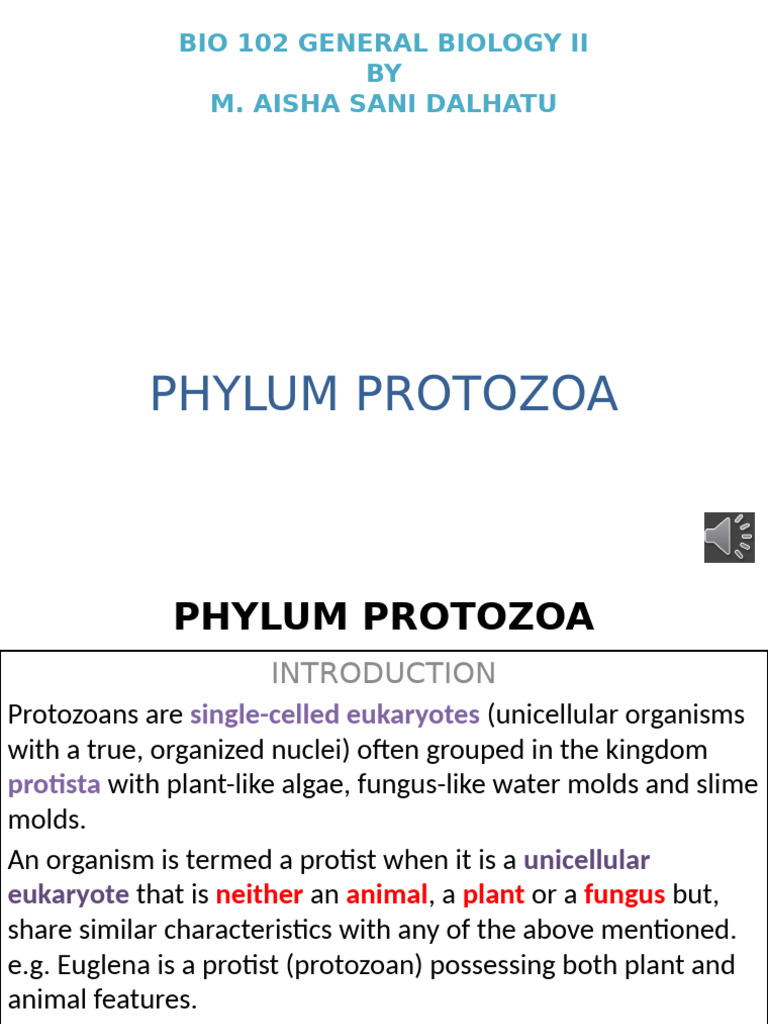 Phylum Protozoa Bio 102 (01) Presentation | PDF
