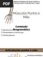 Aula 6 Ossos, Músculos, Inervação e Vascularização Do Punho e Mão | PDF ...