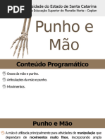 Aula 6 Ossos, Músculos, Inervação e Vascularização Do Punho e Mão | PDF ...