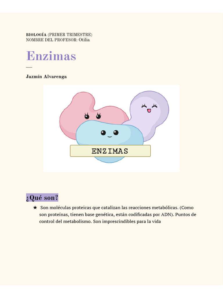 Enzimas.pdf | PDF | Enzima | Sustrato (Química)