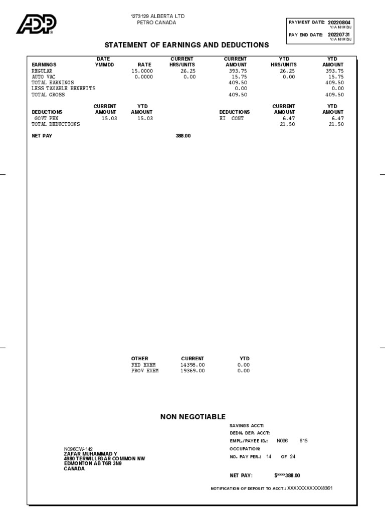 Payroll Statement for Employees | PDF | Taxes | Government Finances