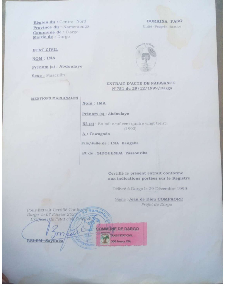 ACE Scanner_2025_01_02 (2) | PDF