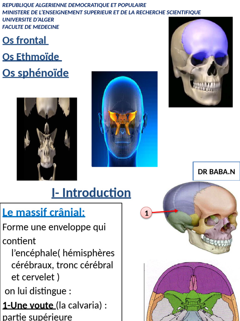1-Os Frontal, Os Ethmoide et Os Sphenoide | PDF | Tête et cou chez l ...