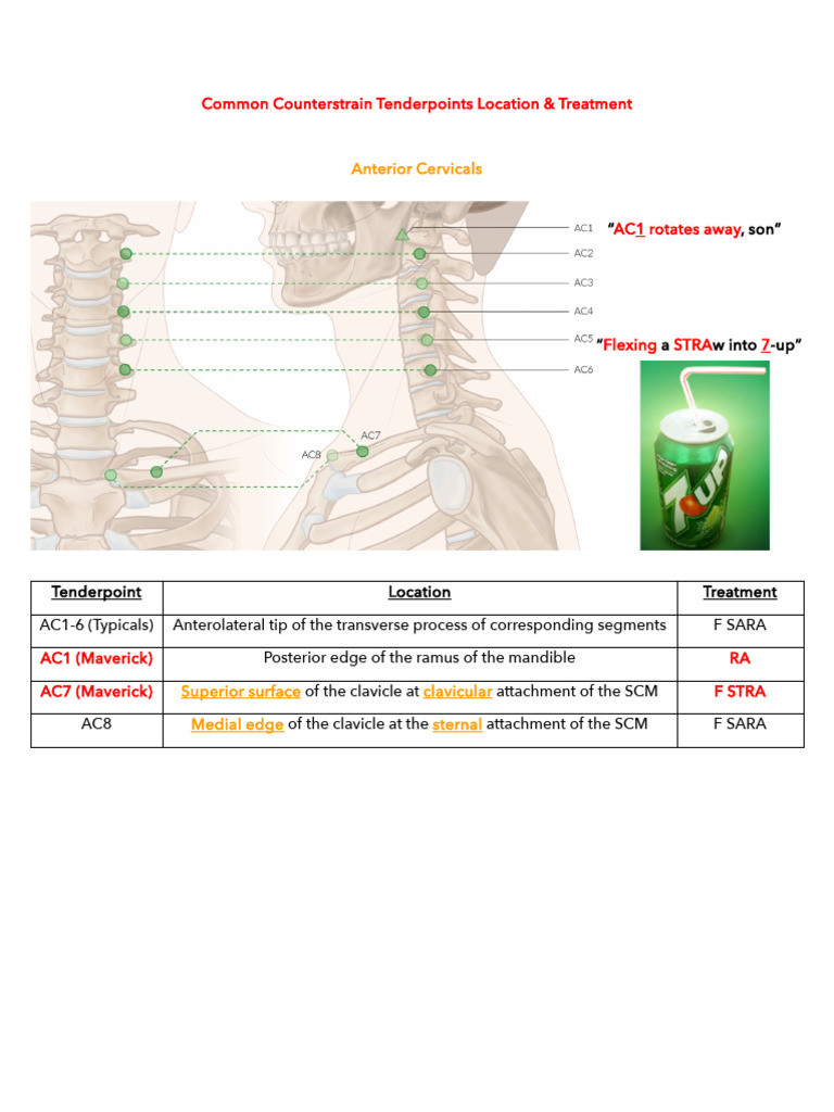 Counterstrain Tenderpoints Guide | PDF | Vertebra | Ankle