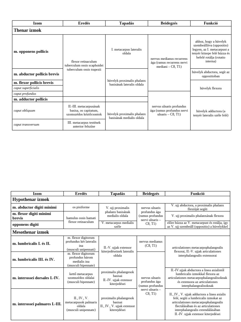 tenyér régiói | PDF