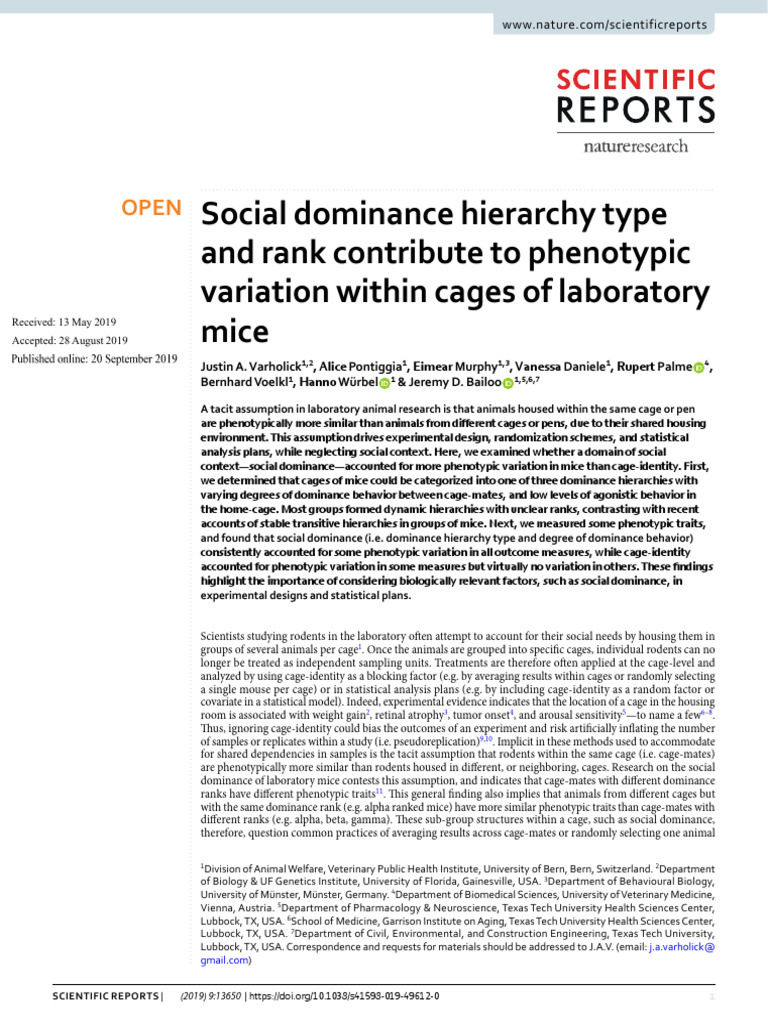 Scientific Reports - Social Dominance Hierarchy Type and Rank ...