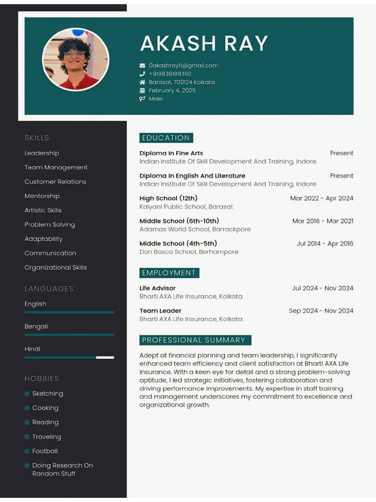 Curriculum Vitae (Akash Ray) | PDF