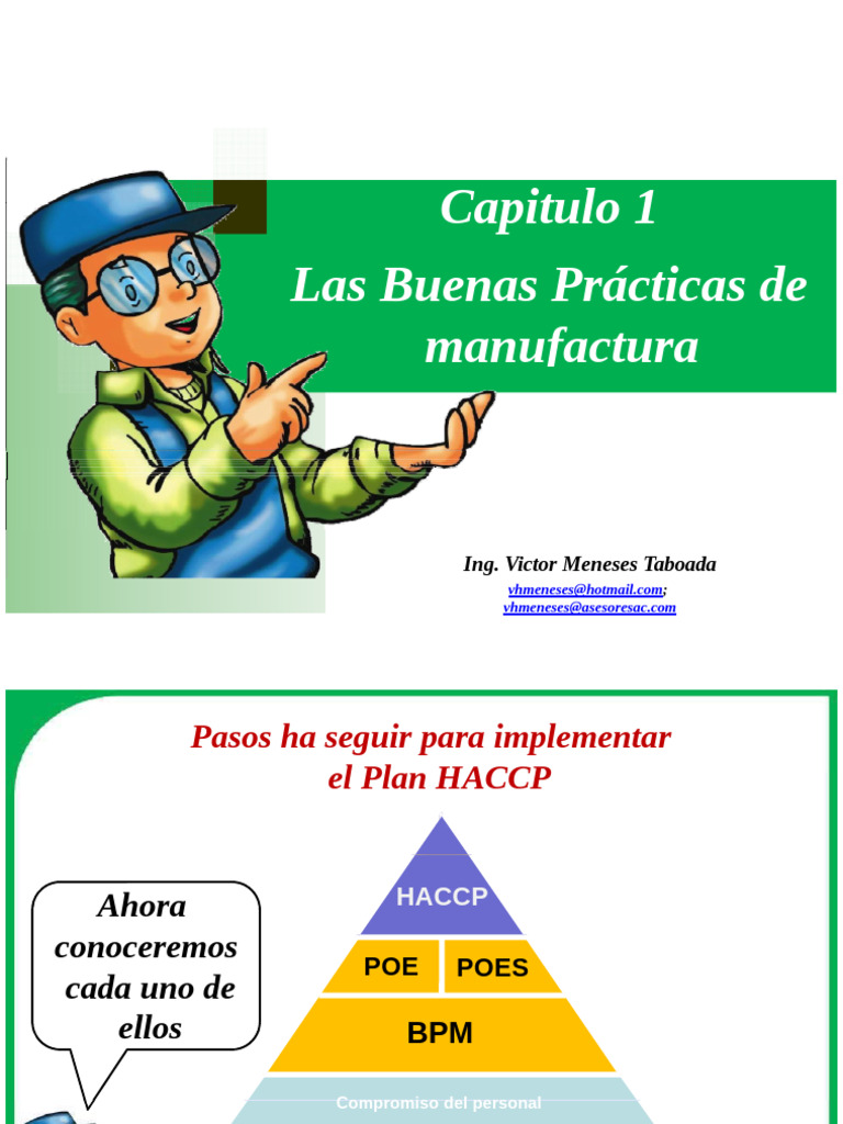 Capitulo 1 - Las Buenas Practicas Manufactura | PDF | Lavado de manos | Detergente