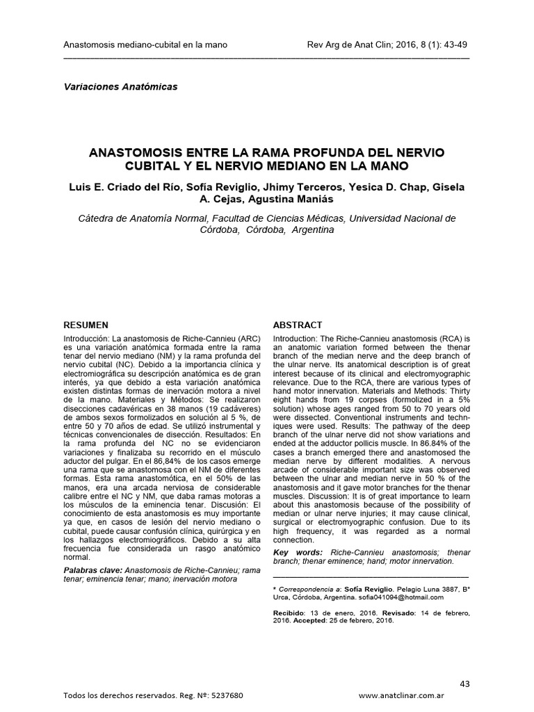 Sbiasutto, Journal Manager, Variaciones Anatómicas - Anast de Riche ...