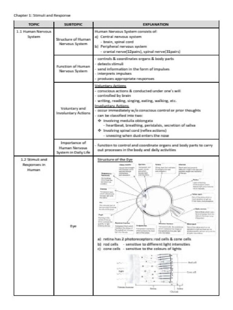 Science Form 3 (Notes) - 20241115 - 202354 | PDF