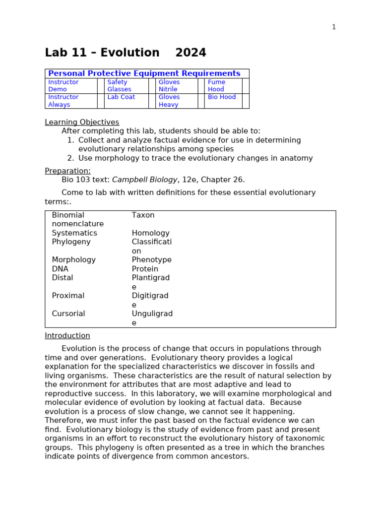 Evolution Protocol 2024 | PDF | Taxonomy (Biology) | Phylogenetic Tree