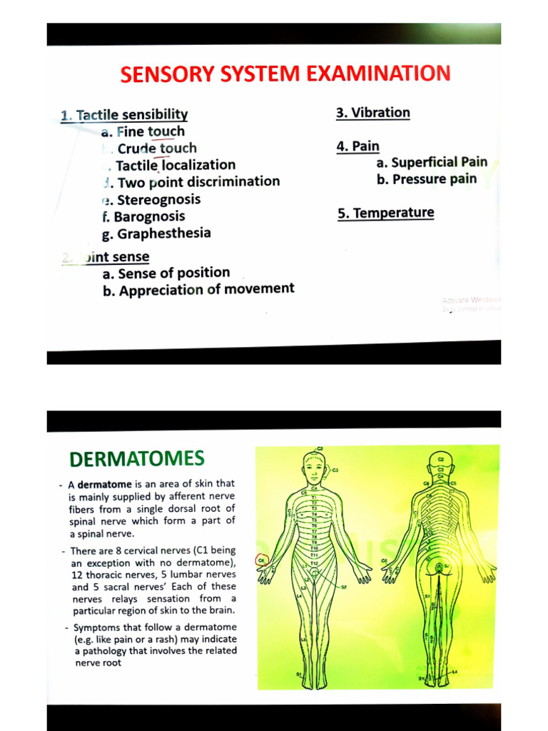 Sensory Examination - CNS | PDF