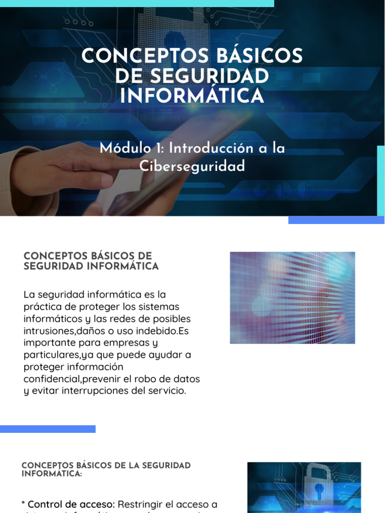 Conceptos Basicos de Seguridad Informatica | PDF