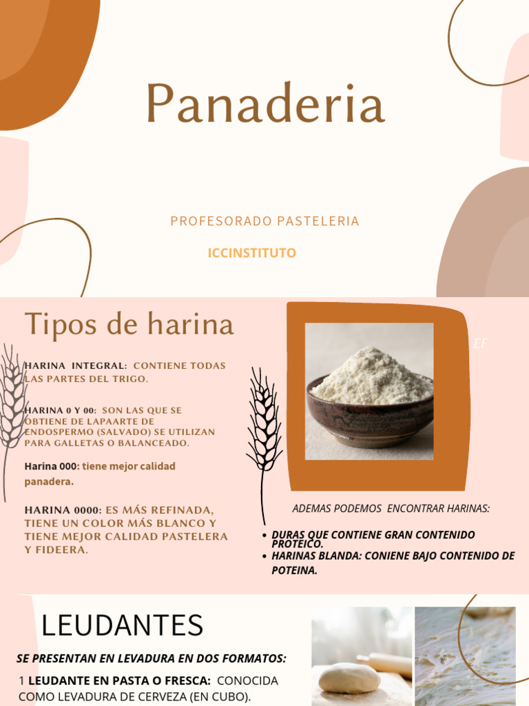 Apunte Panaderia Profesorado Modulo 1 | PDF | Panes | Harina