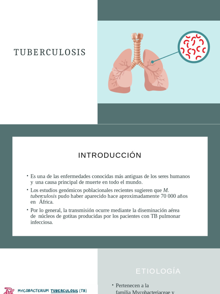Tuberculosis Pulmonar | PDF | Tuberculosis | VIH