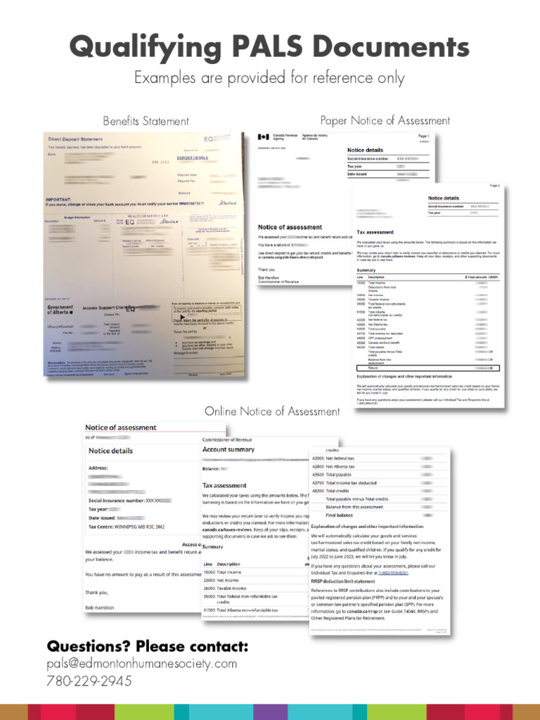 PALS Example Documents 2023 | PDF