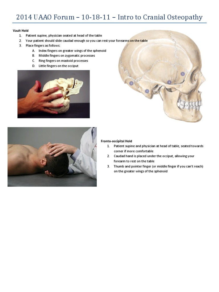Cranial Osteopathy Strain Patterns Guide | PDF | Anatomical Terms Of ...