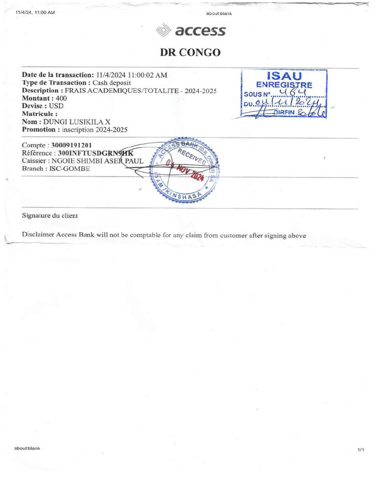 ISAU | PDF