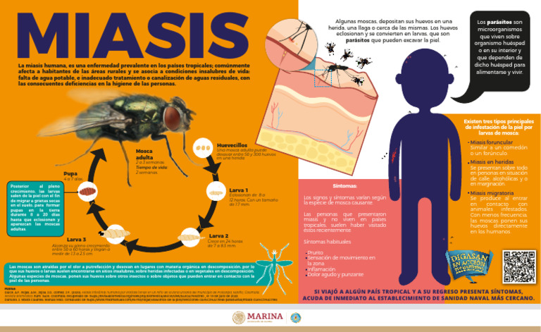 miasis_2022_redessociales | PDF | Mosca | Especialidades Medicas
