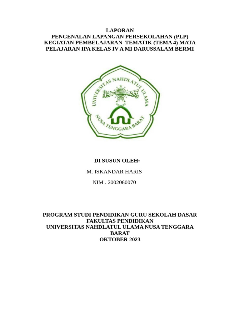 Laporan Individu PLP Iskandar | PDF
