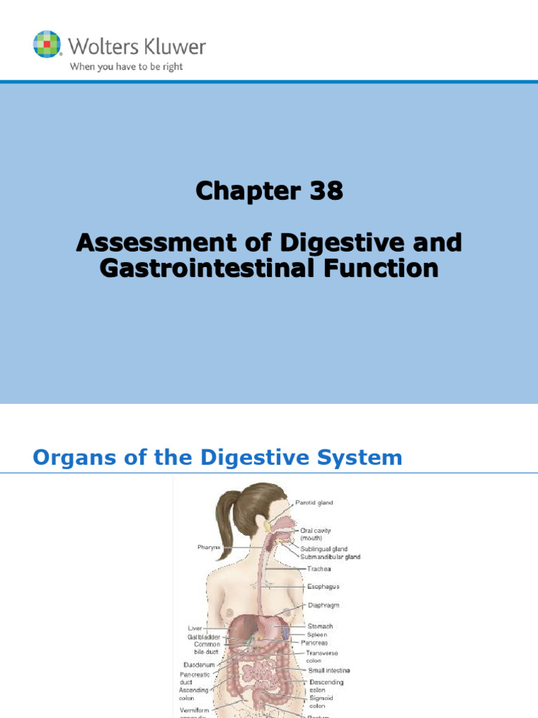 GI Function Assessment Overview | PDF | Digestion | Gastrointestinal Tract