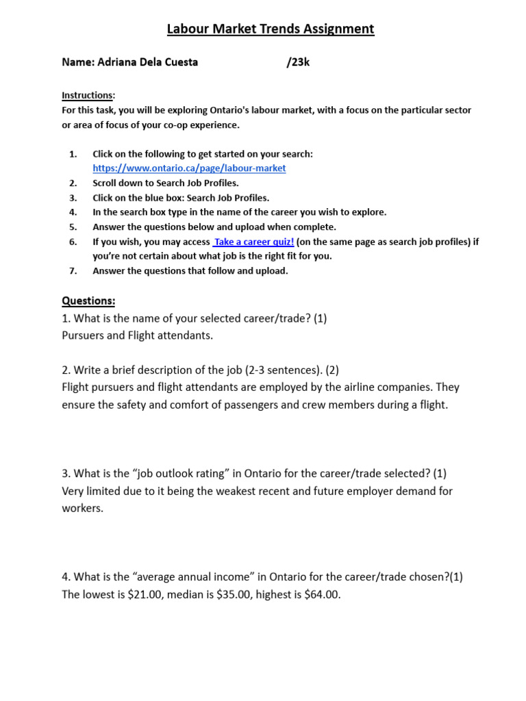 Labour Market Trends - Integration Assignment | PDF | Flight Attendant ...