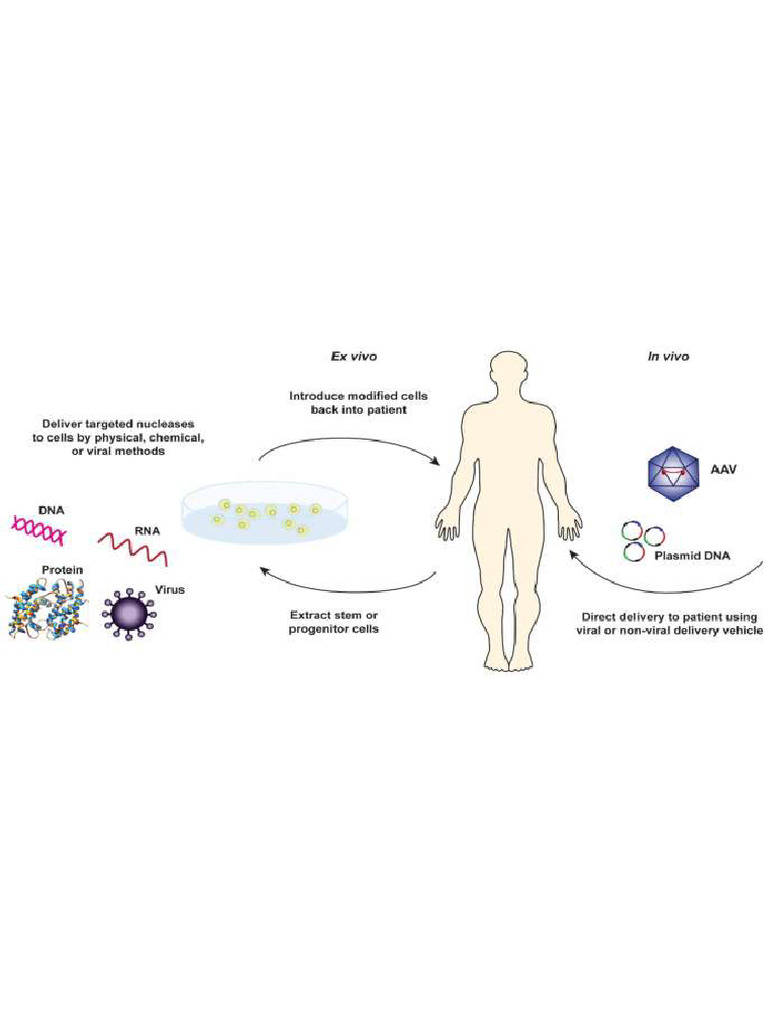 2023 9889 Fig1 HTML | PDF