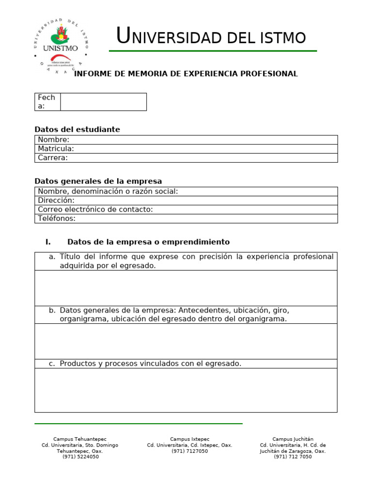 INFORME_DE_MEMORIA_PROFESIONAL | PDF