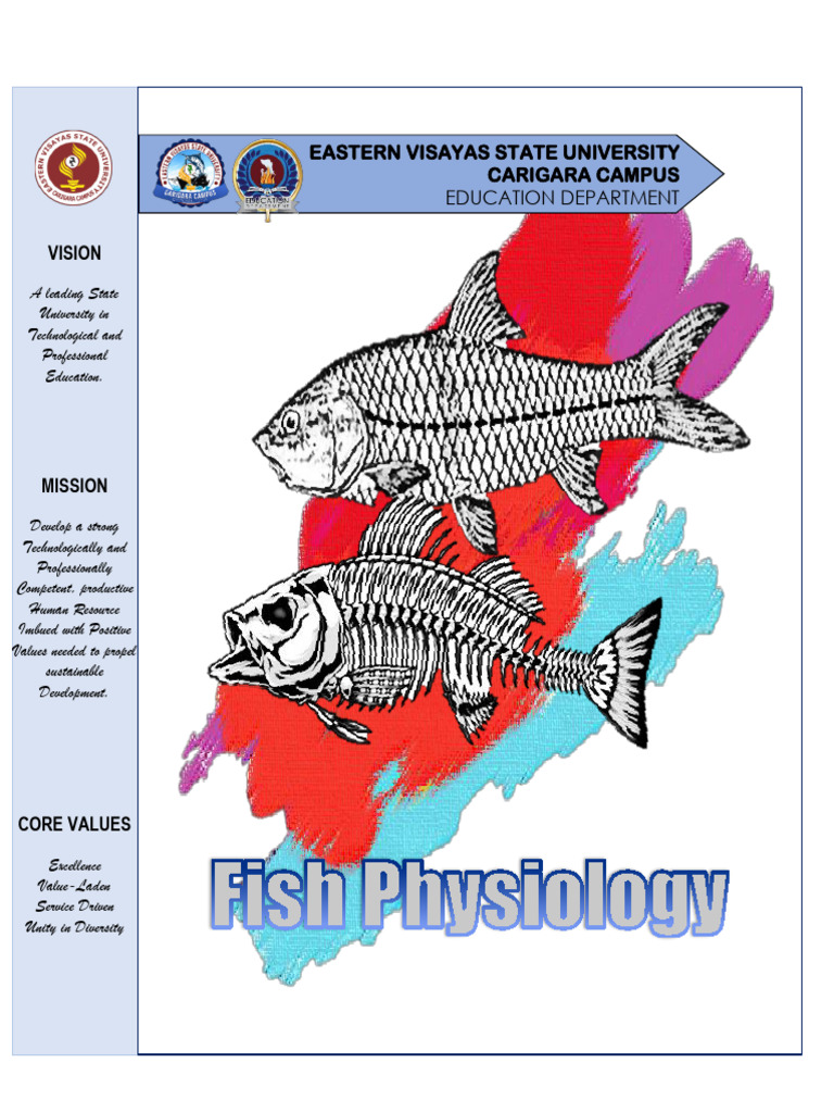 FP Handout1 | PDF | Eye | Retina