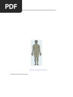 Termos de Posição e Movimento na Anatomia | PDF | Movimentos anatômicos ...