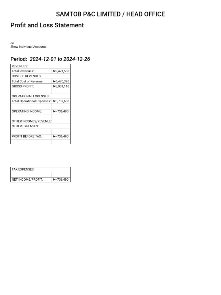 SAMTOB P&C Dec 2024 P&L Summary | PDF