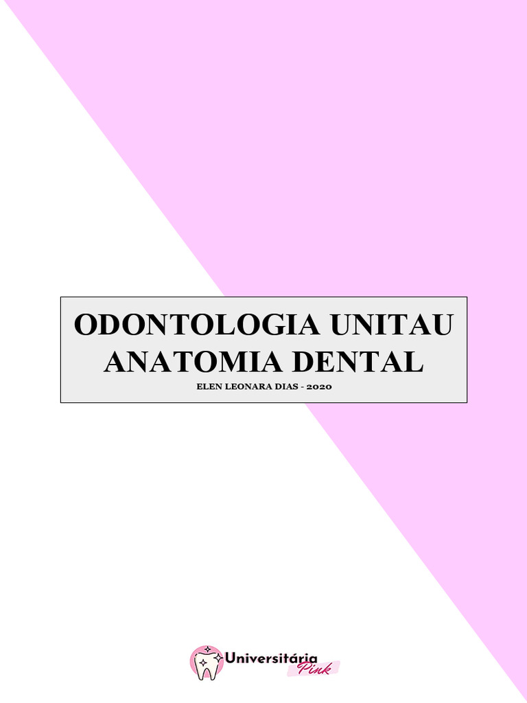 Anatomia Dental: Estruturas e Funções | PDF | Boca | Anatomia humana