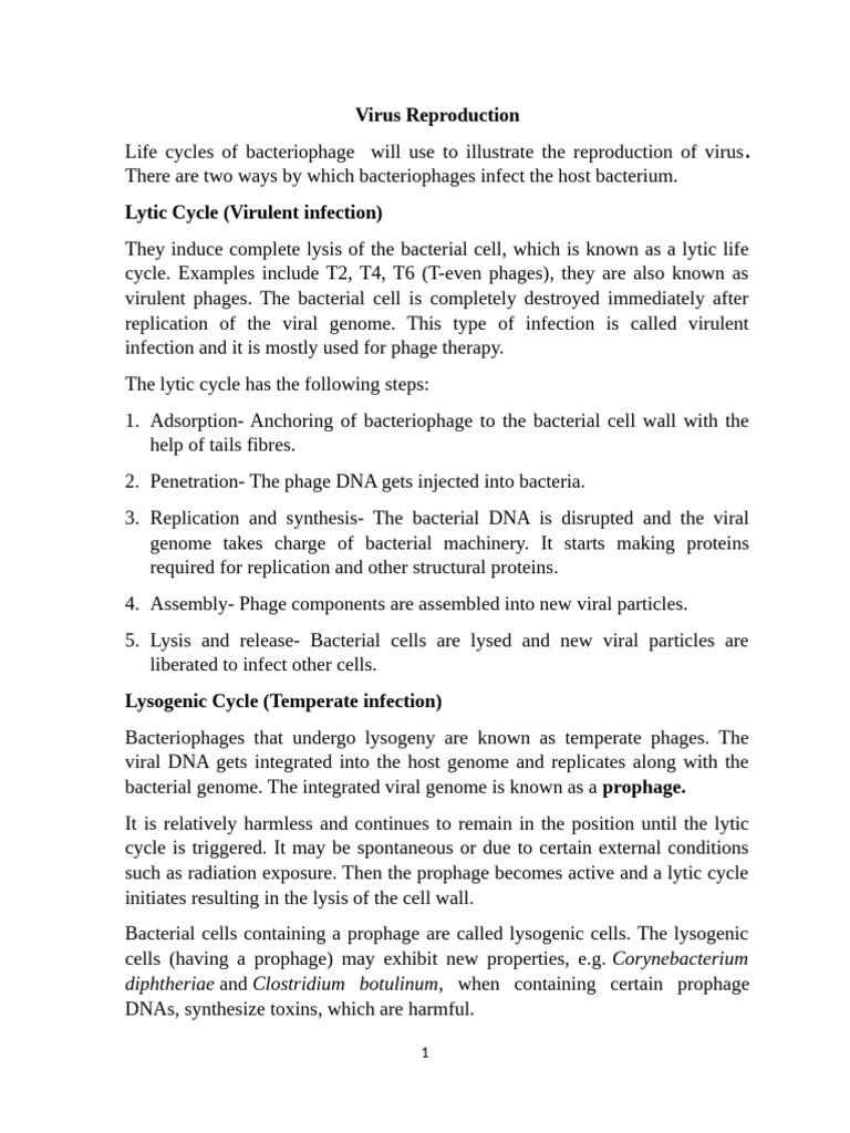 Virus Reproduction , Viroids and Prion | PDF | Virus | Bacteriophage