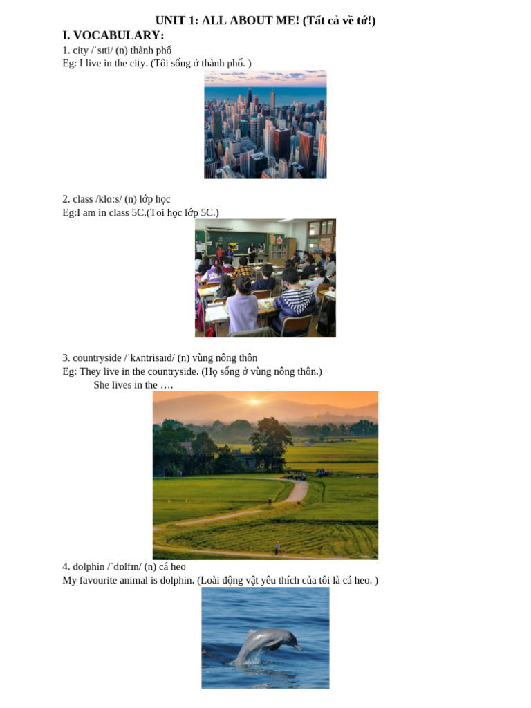 Unit 1 | PDF