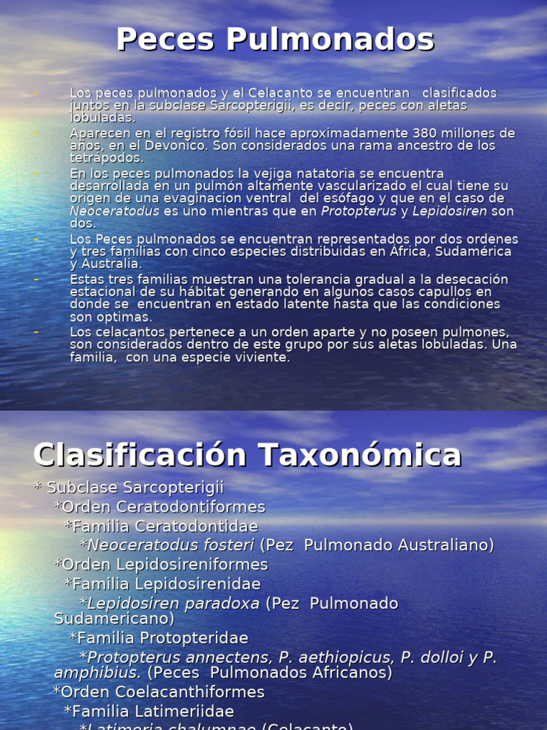 Características de los Peces Pulmonados | PDF | Pescado