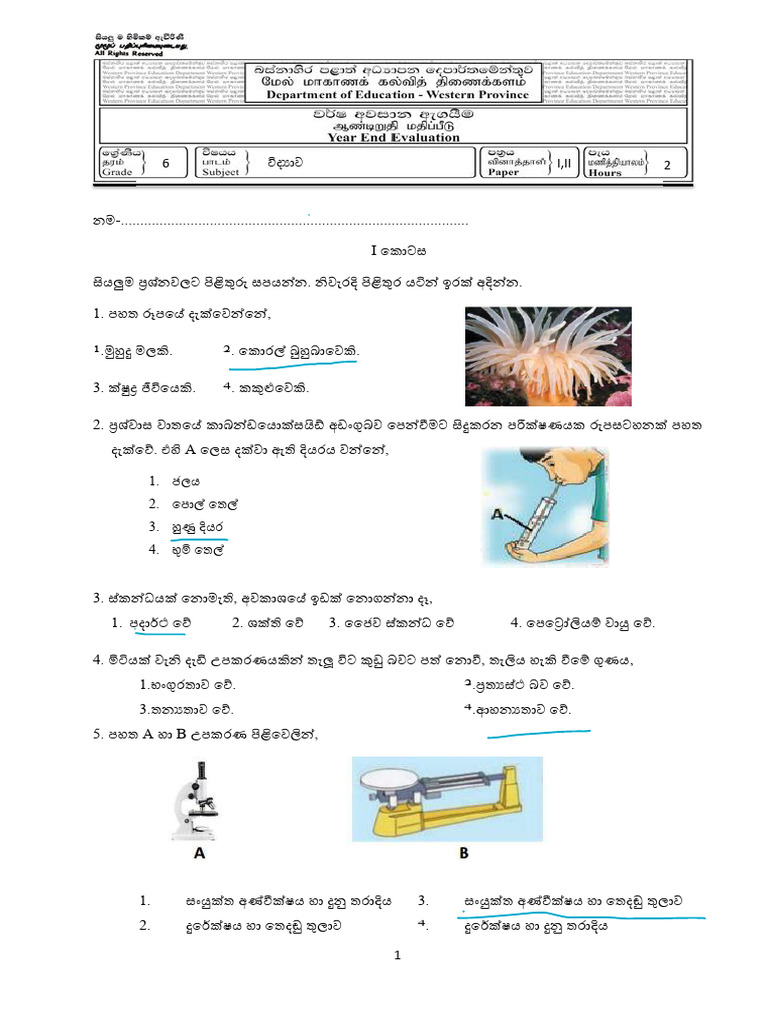 2021 3rd Science g6 SM | PDF